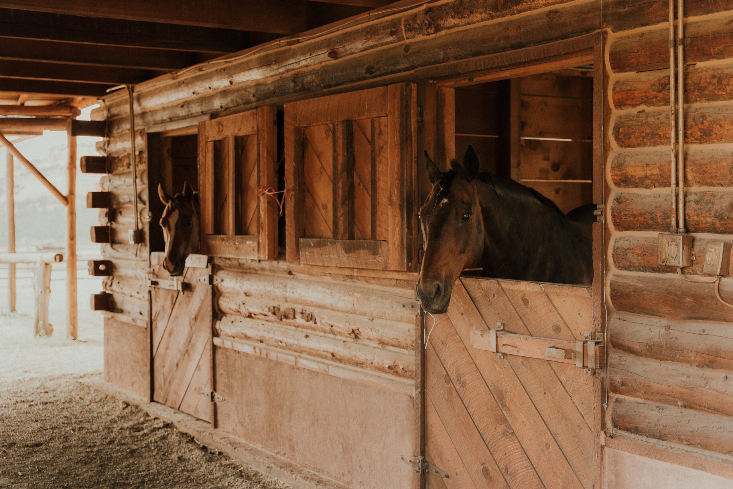 5 Tips for Decluttering Your Barn