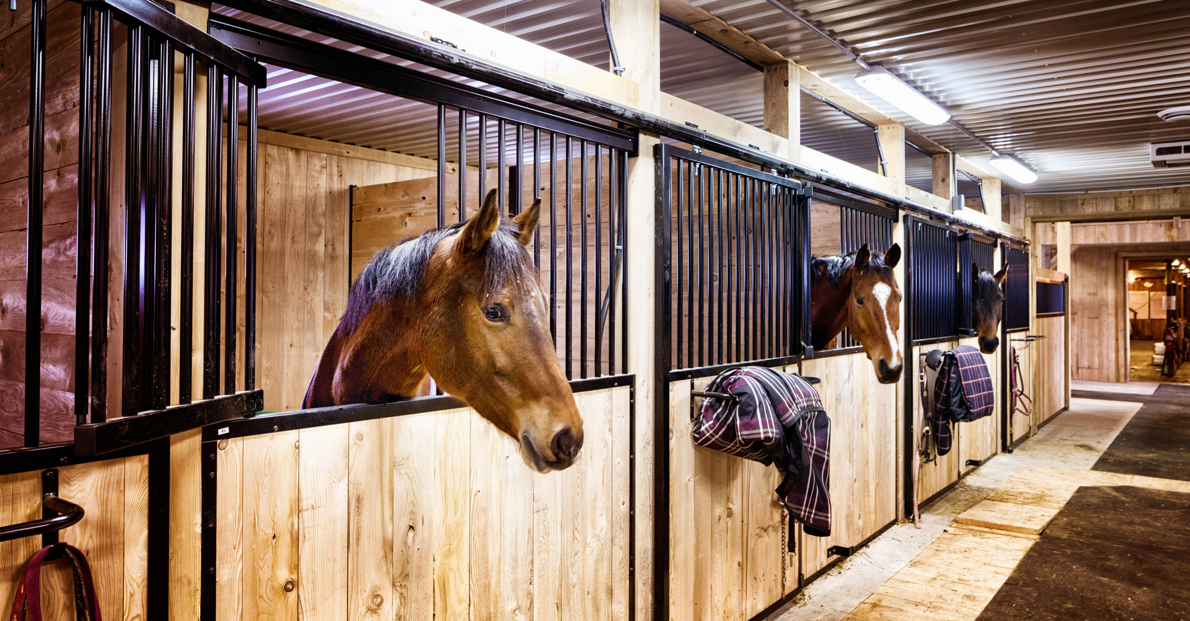 Stall Upgrades for Horse Facilities | Stable Management