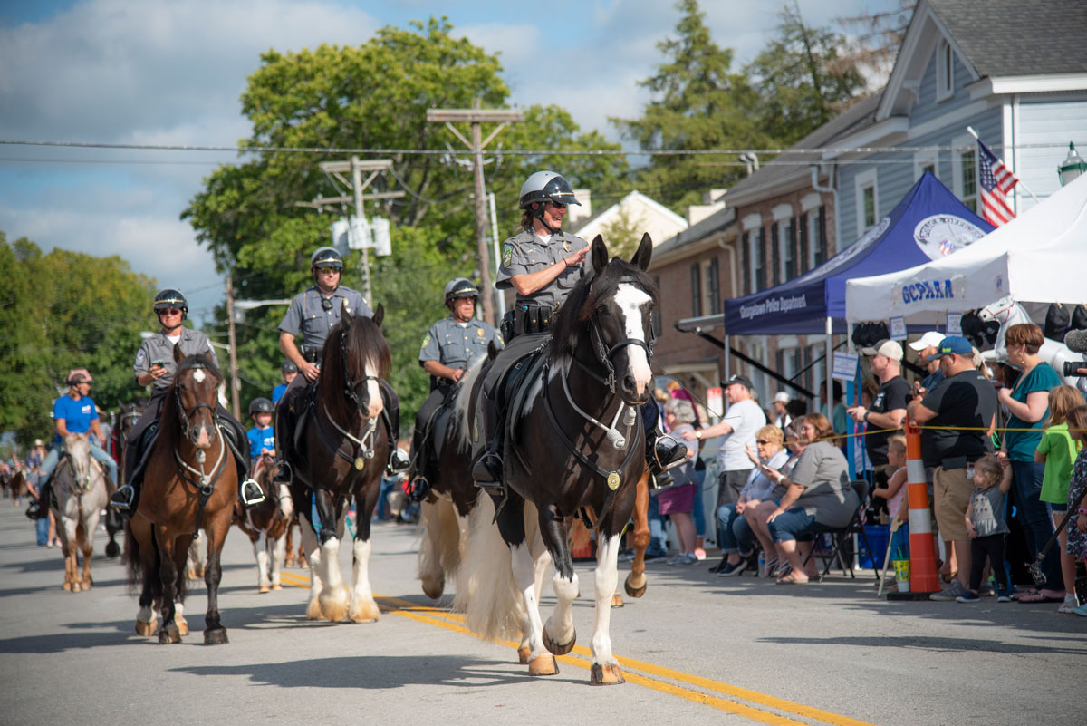 Desensitizing Horses to Parades and Crowds | Stable Management
