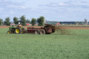 Best Manure Management Practices on Horse Farms | Stable Management