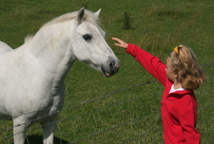 Merial Committed to Educating Horse Owners