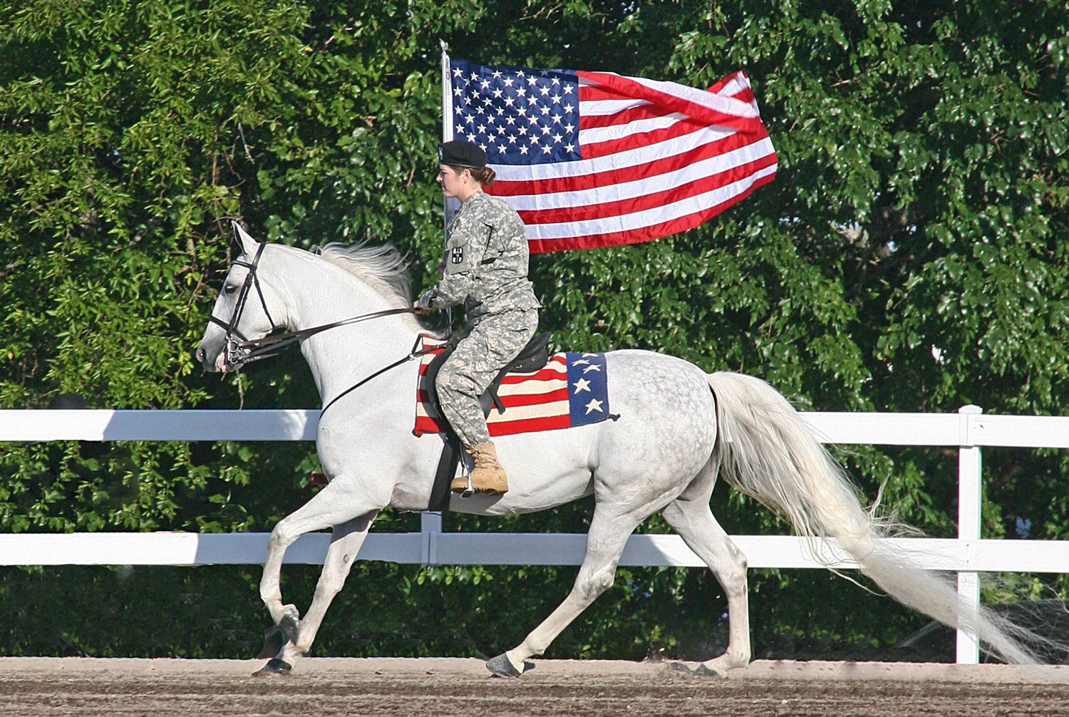 Research on Experiences of Military Veterans in a Therapeutic Horseback Riding Program | Stable ...