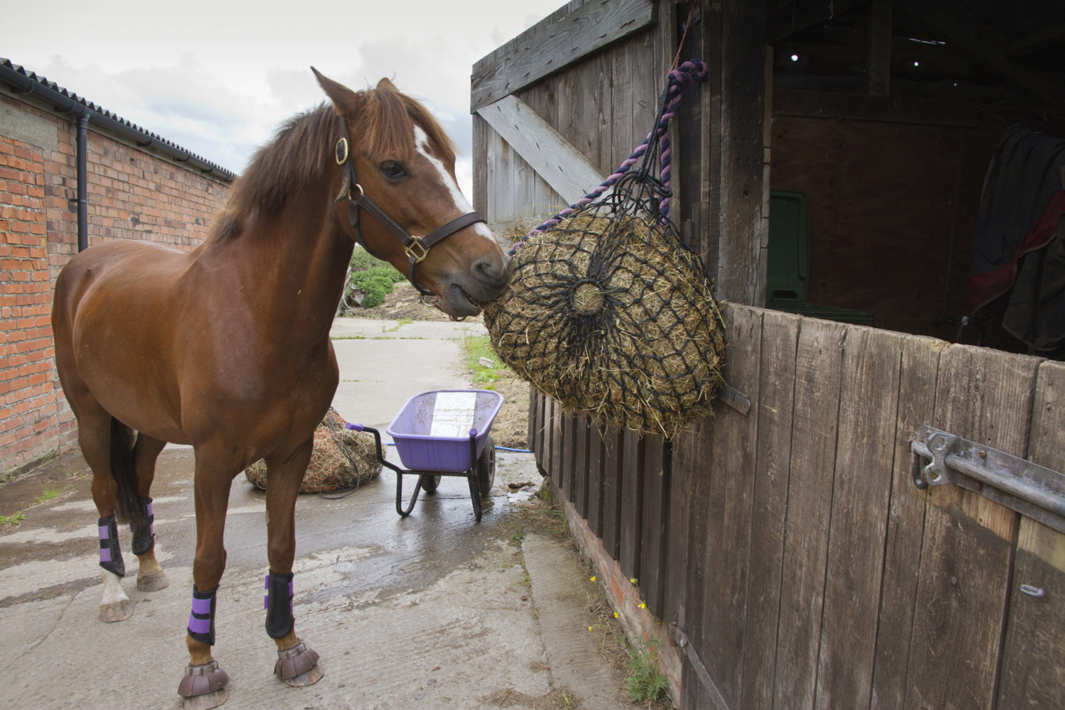 Research on Hay Net Design