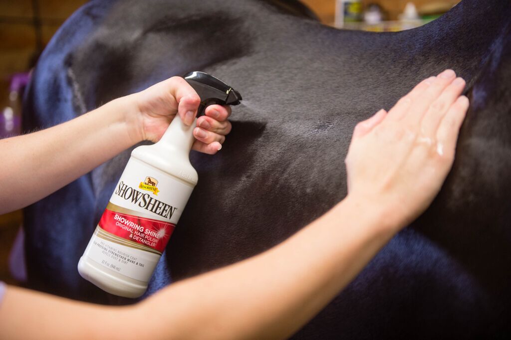 Show Ring Shine: A Cheat Sheet