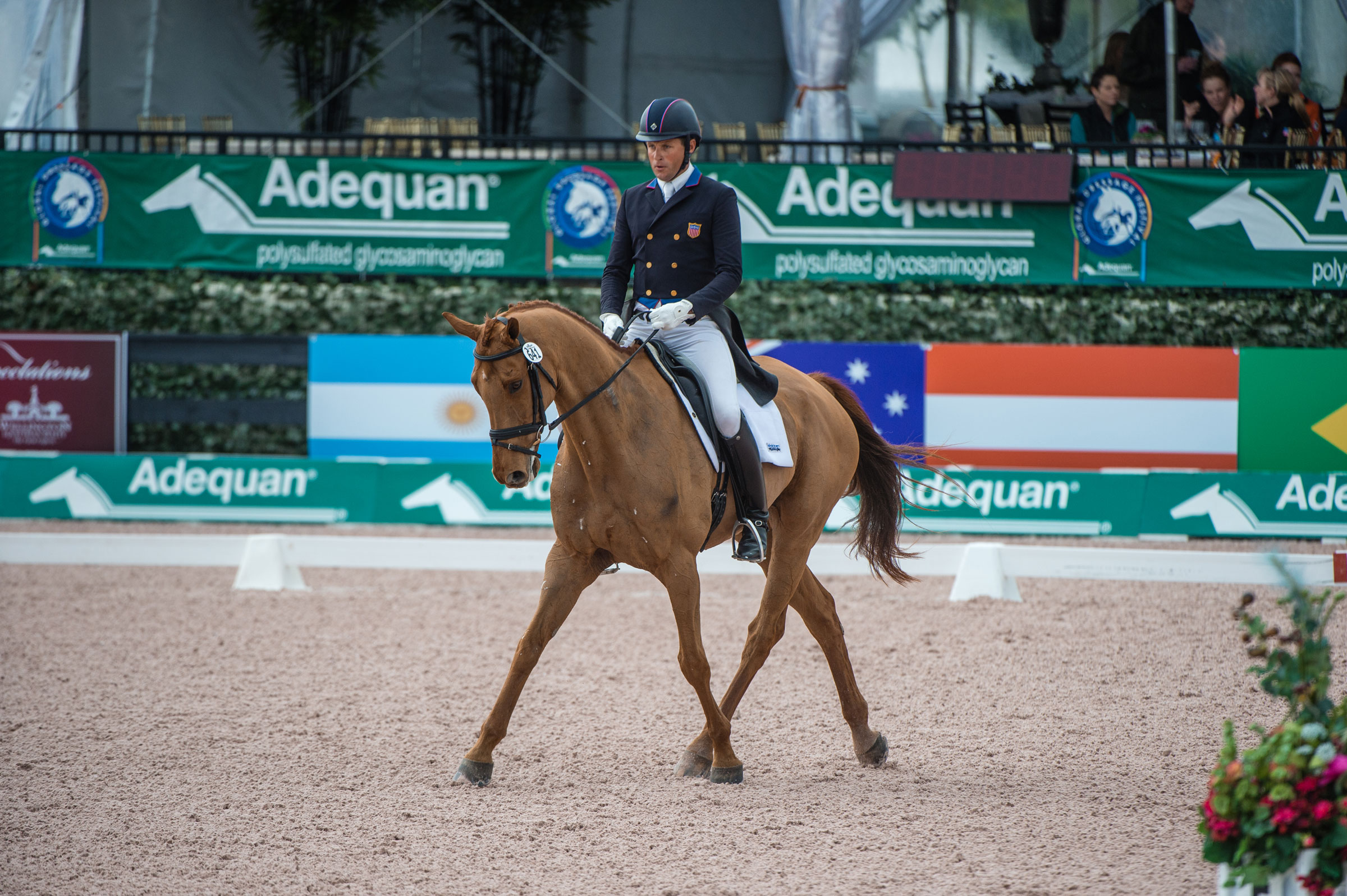 Advertising Services for Your Equine Business | Stable Management