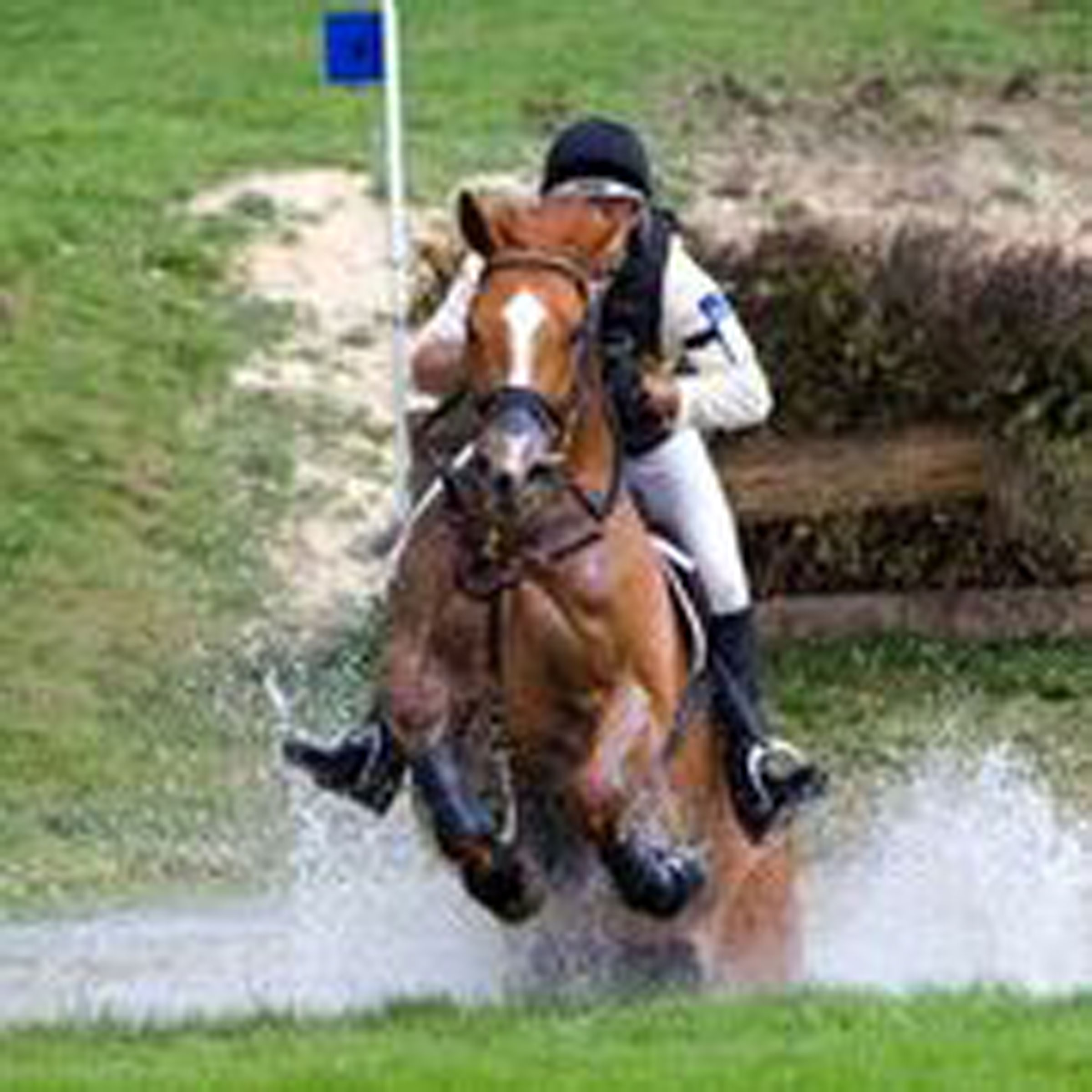 Feeding the Discipline: Three-Day Eventing Horse | Stable Management