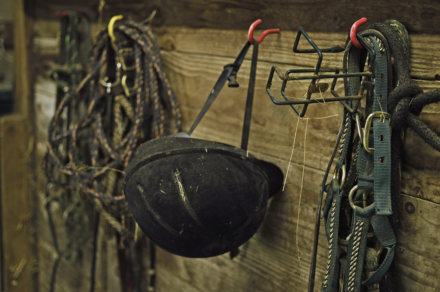 Tack Room Organizing Tips