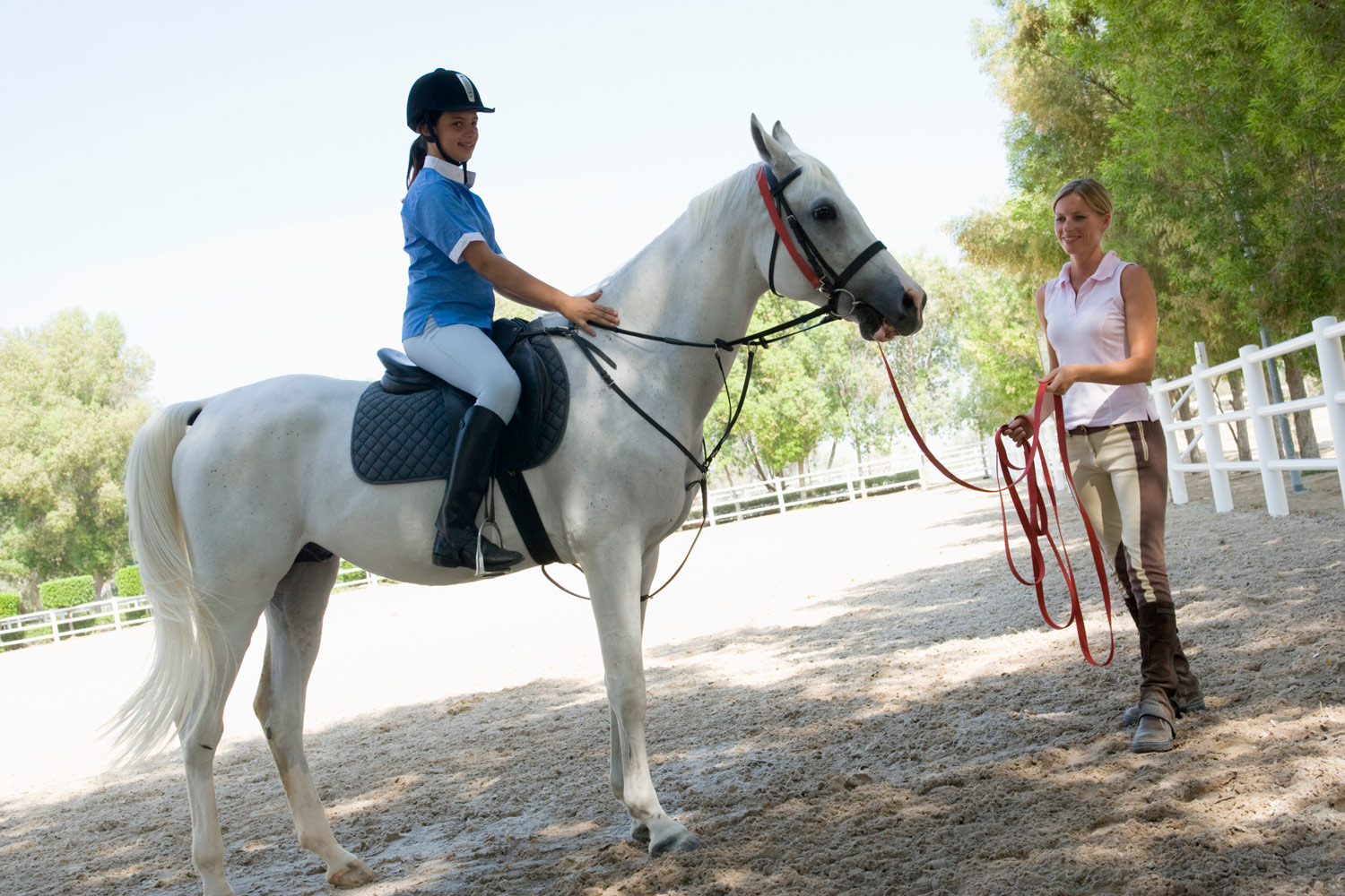 Group, Private and Semi-Private Riding Lessons