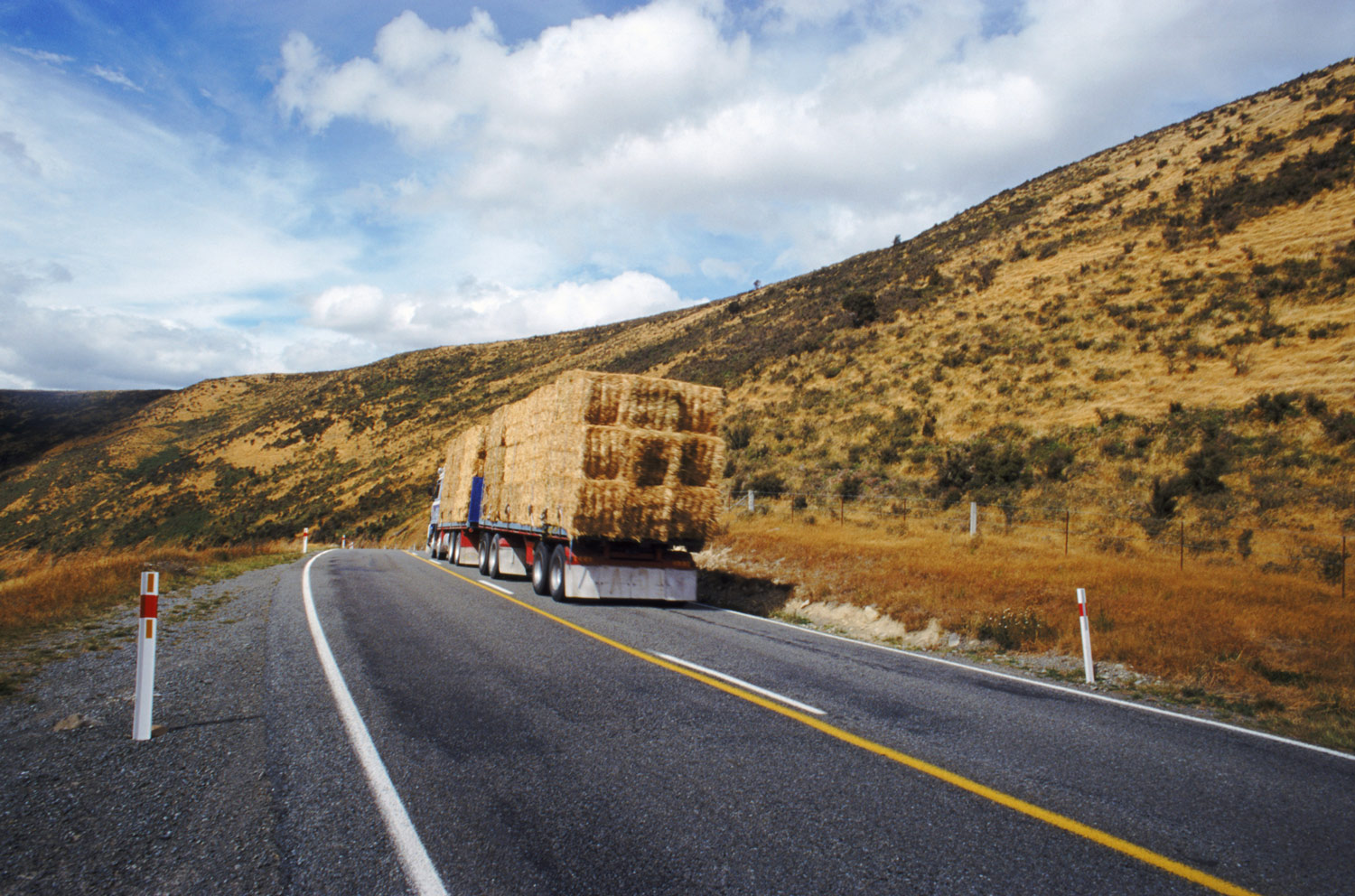 Tips on Buying Horse-Quality Hay