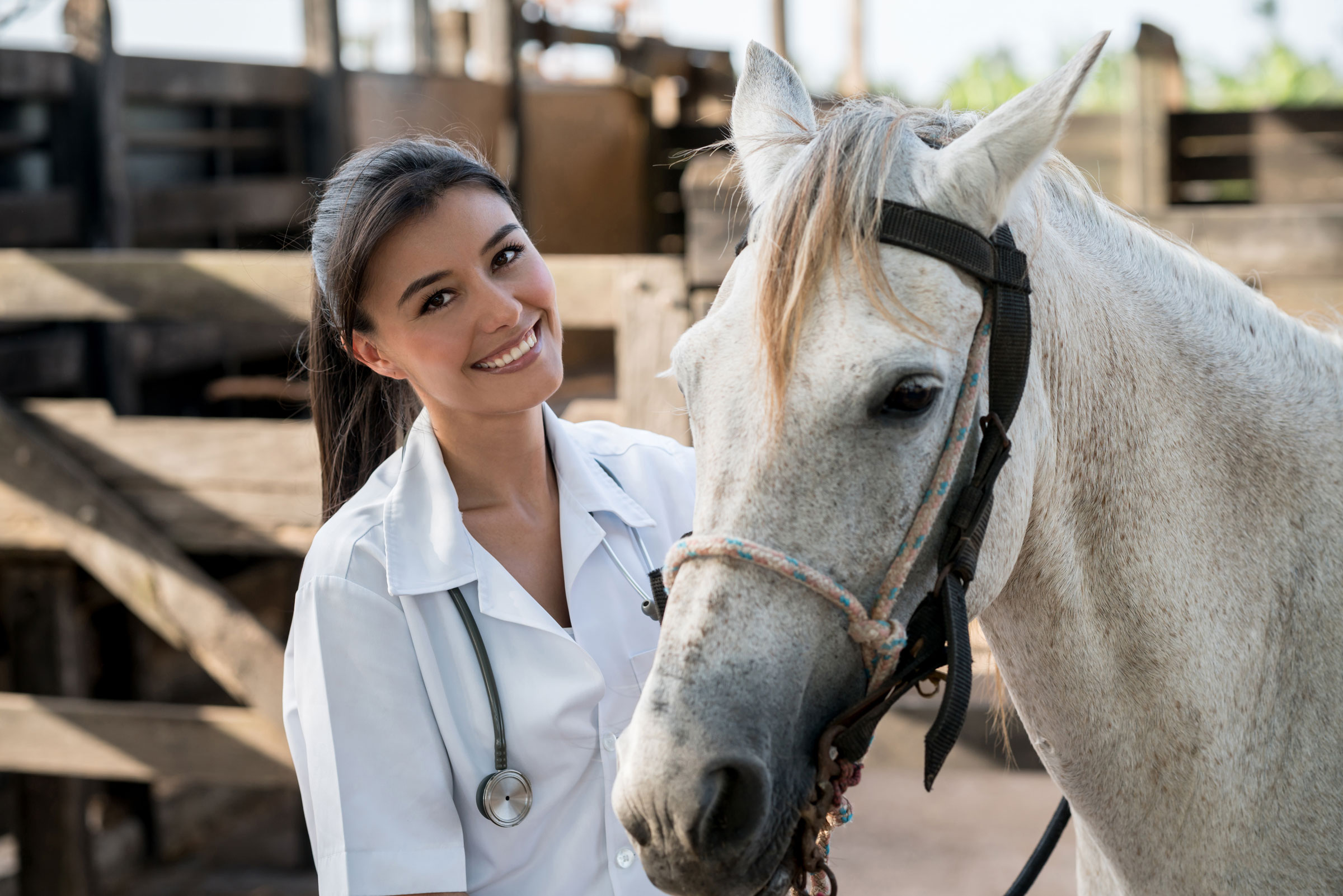 Nominations Open for The Right Horse Initiative’s Good People for Good ...