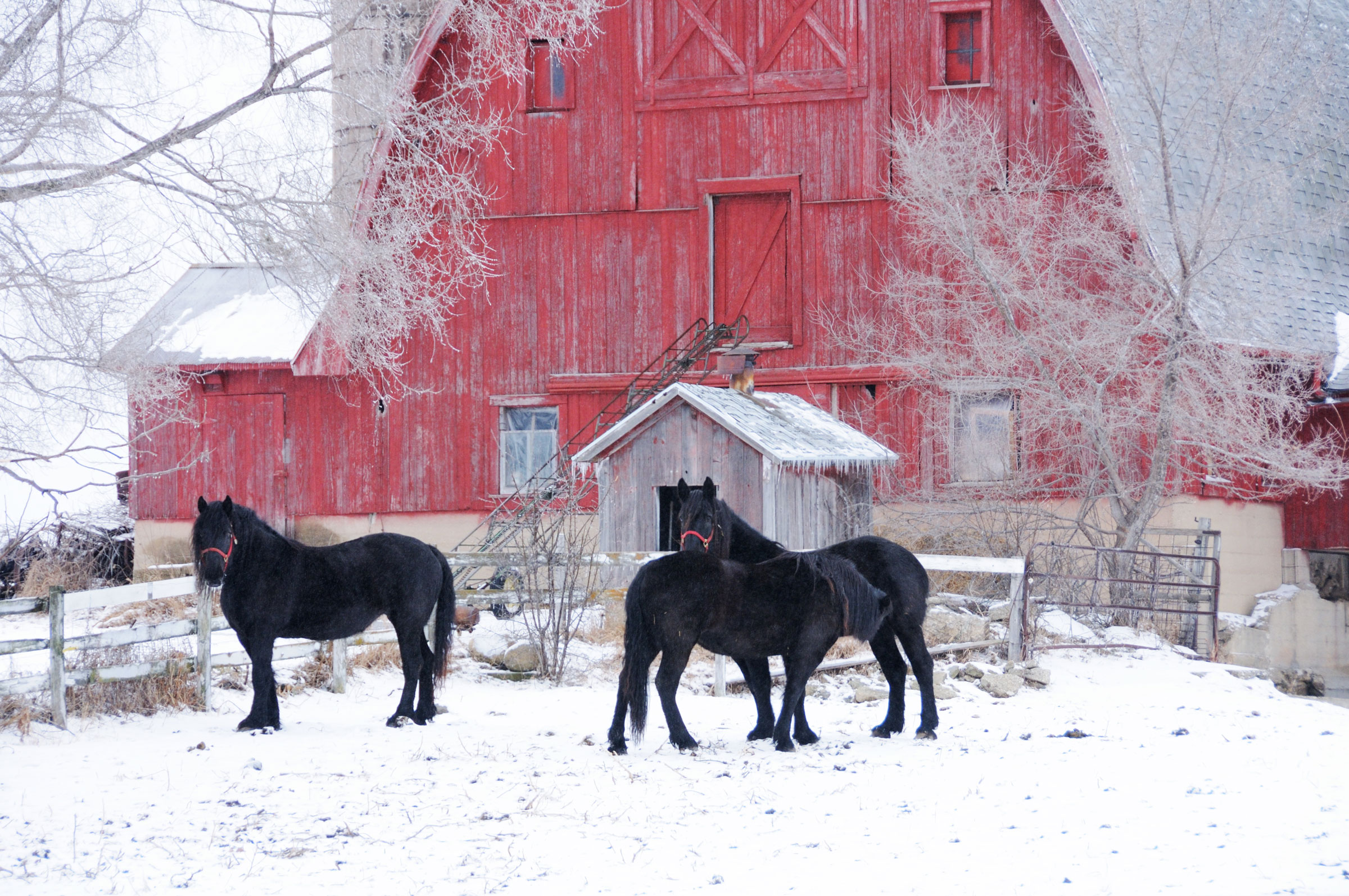 Tips for Winter Repairs at Your Equine Business | Stable Management
