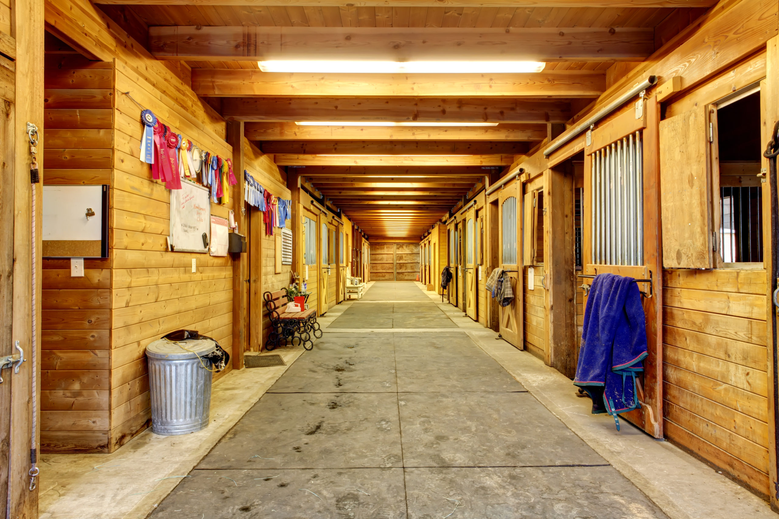 Barn Lighting | Stable Management