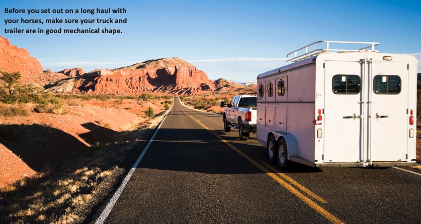 Tips for Safe and Healthy Horse Hauling
