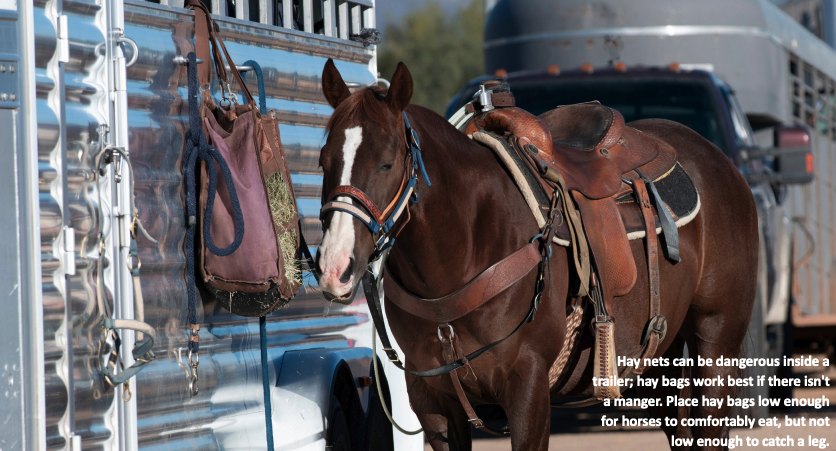 Tips for Safe and Healthy Horse Hauling