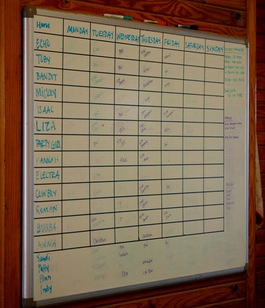 Time-Saving Tips for Feeding and Watering Horses | Stable Management