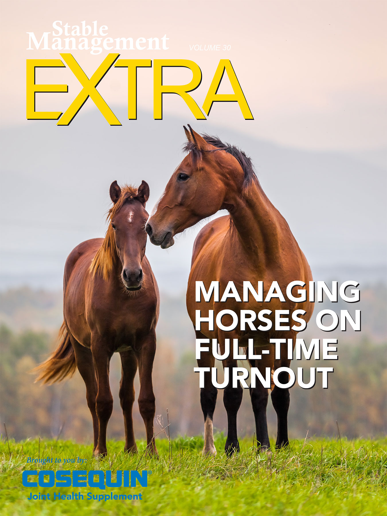 Managing Horses on Full-Time Turnout | Stable Management