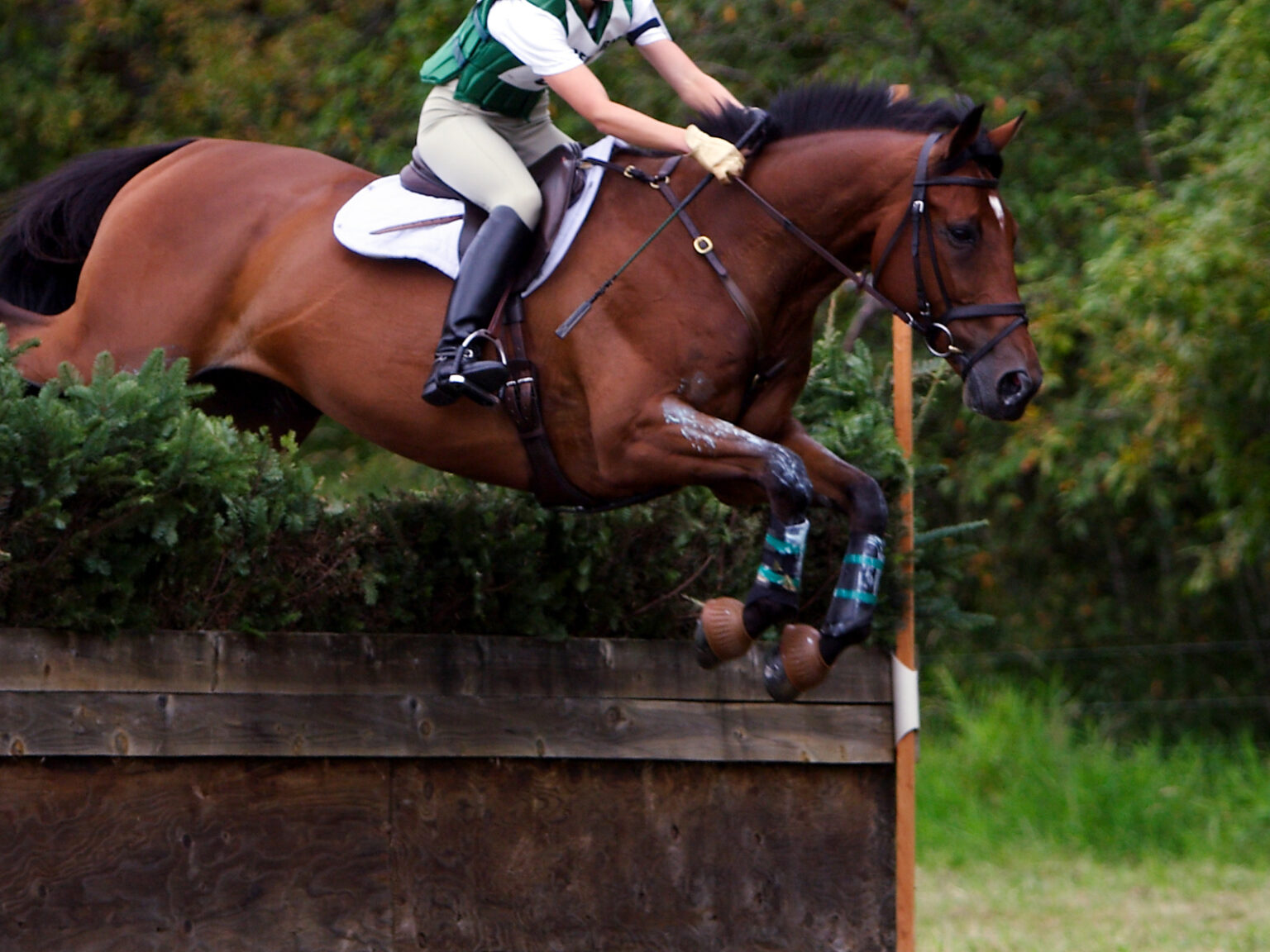 How to Boost Traction with Studs | Stable Management