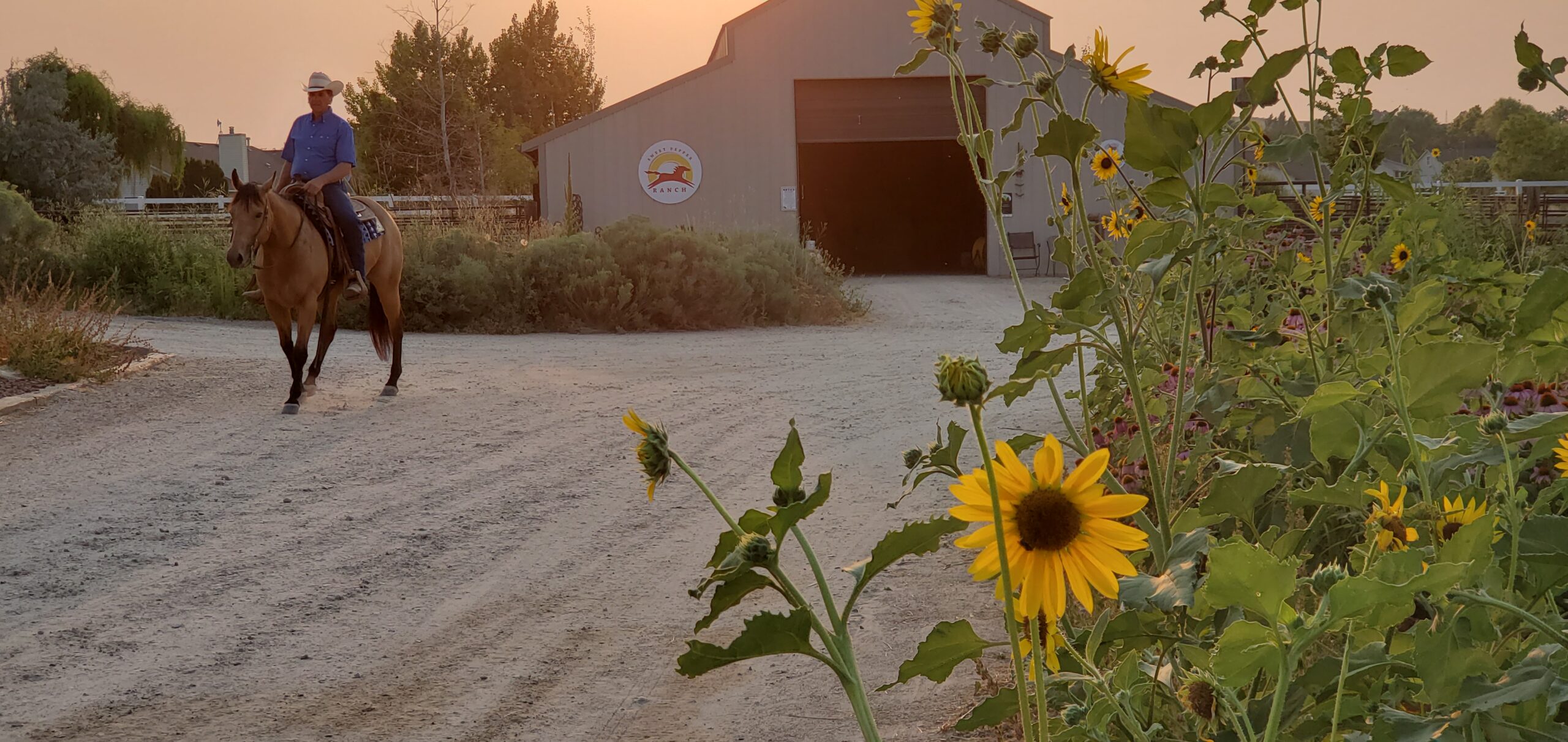 Creating Native Plant Hedgerows on Horse Farms | Stable Management