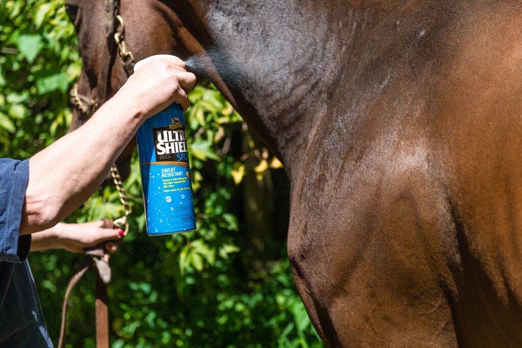 Equine Repellent and Insecticide Chemicals | Stable Management